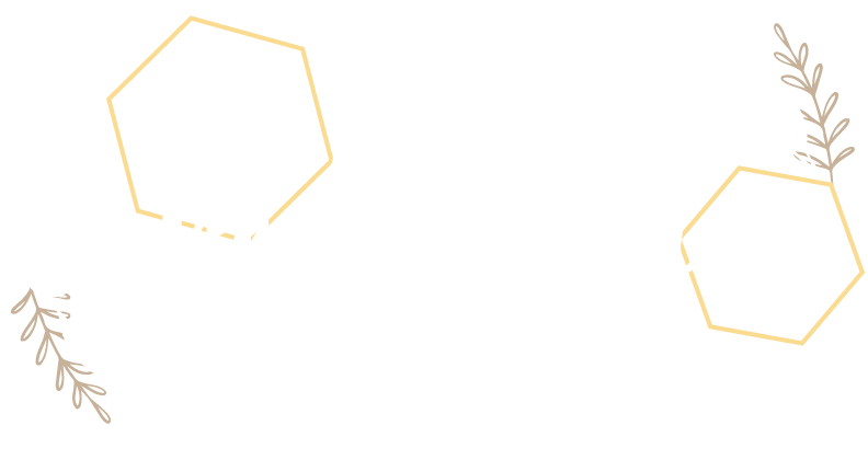 Accueil - sogeeksochic.fr